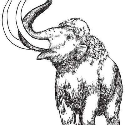 Tetování Mamut | VEAN TATTOO